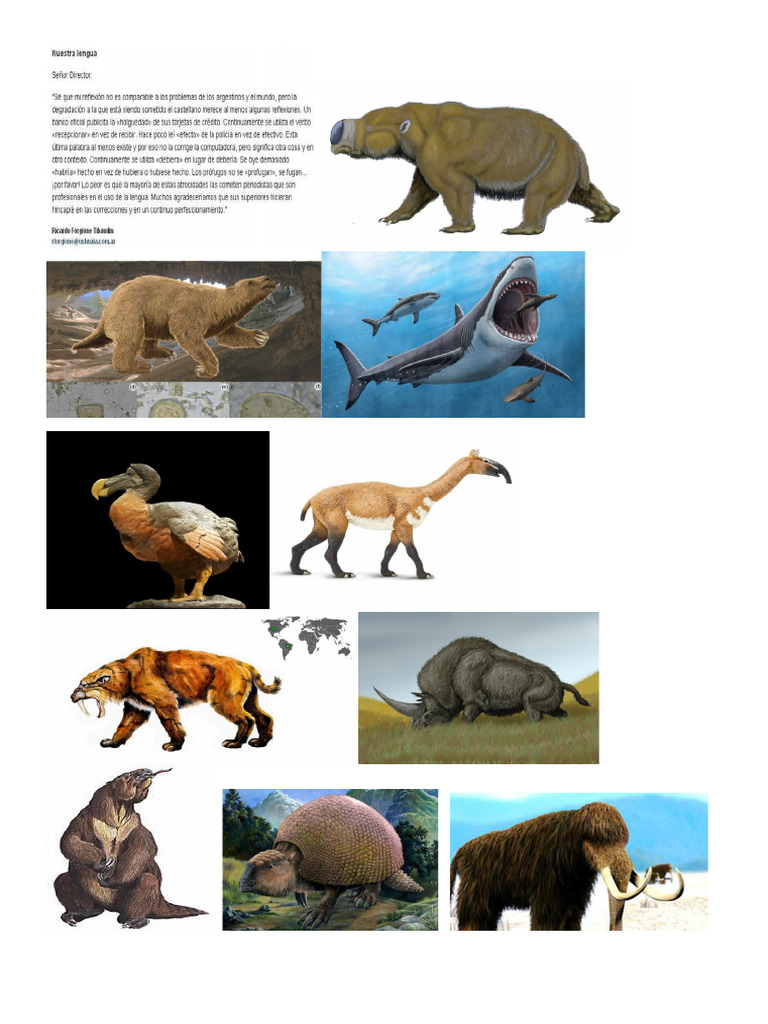Megafauna | PDF
