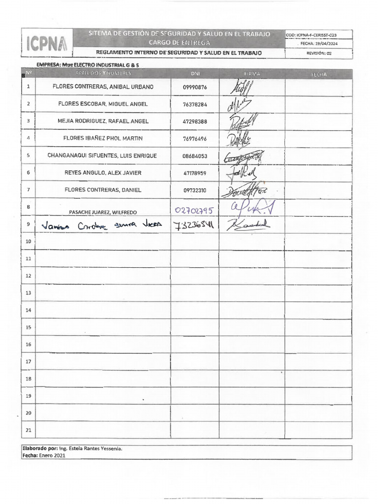 Cargo Entrega Risst-Icpna | PDF