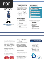 Triptico Cancer de Prostata | PDF | Cancer de prostata | Cáncer