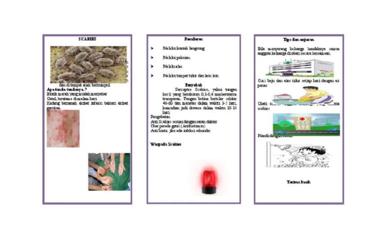 Leaflet Scabies | PDF