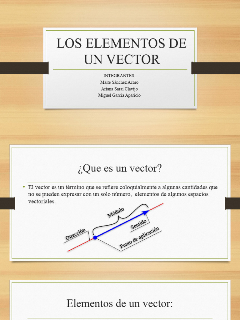 Elementos y Ejercicios de Vectores | PDF | Vector Euclidiano | Física