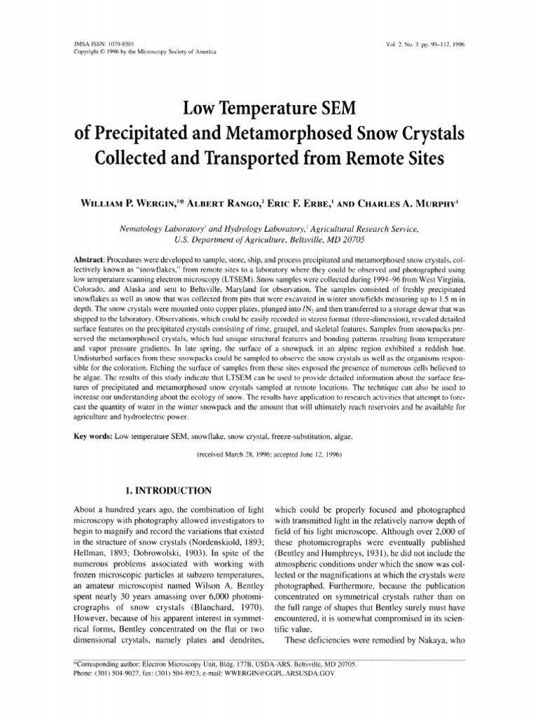 Sem Snow | PDF