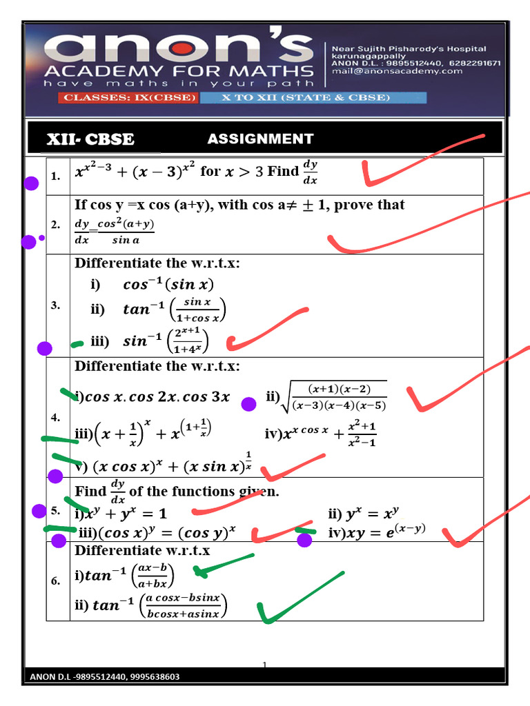 Calculus Differentiation Problems | PDF
