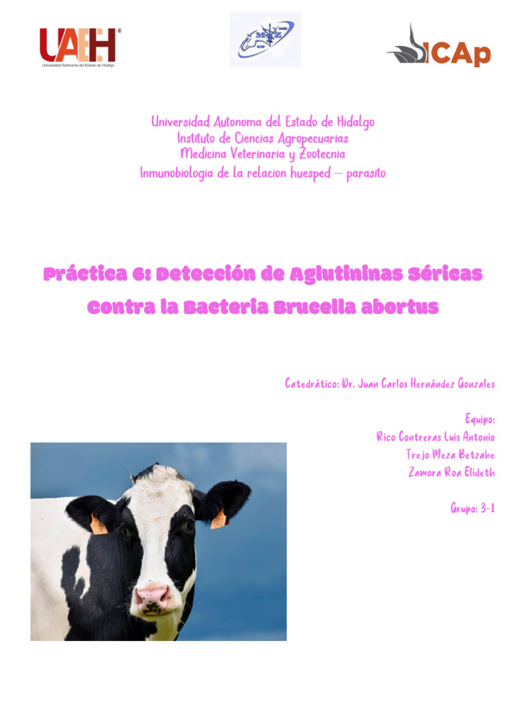 Detección de Aglutininas en Brucelosis | PDF | Microbiología | Inmunología