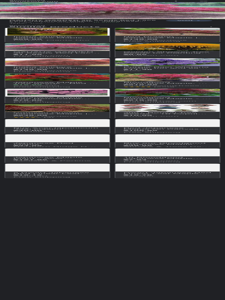 Japanese Maple Tree - Google Search | PDF | Maple | Plants