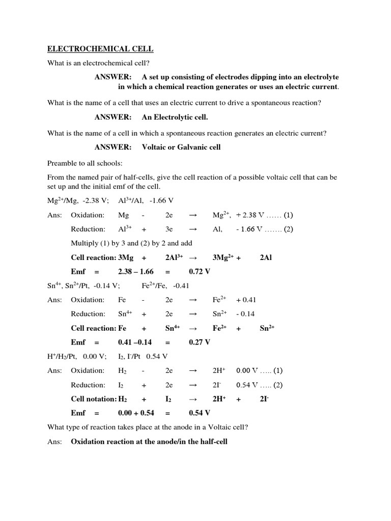 Electrochemical Cell | PDF | Electrochemistry | Electrode