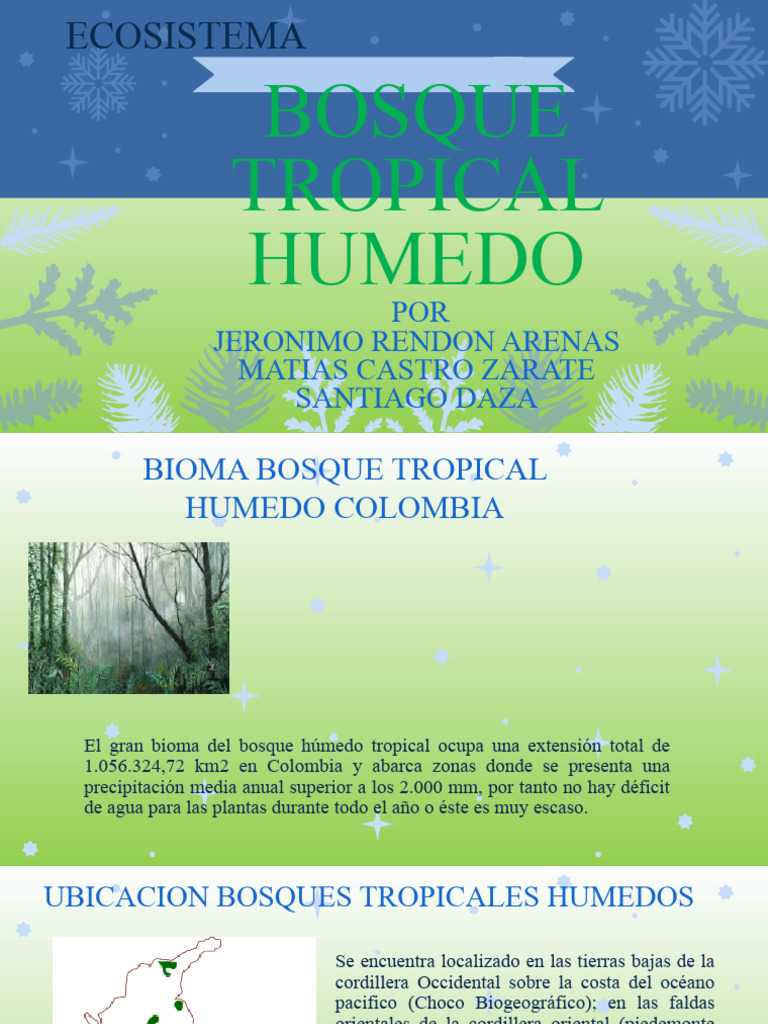 Bosque Tropical Humedo | PDF | Los bosques | Deforestación