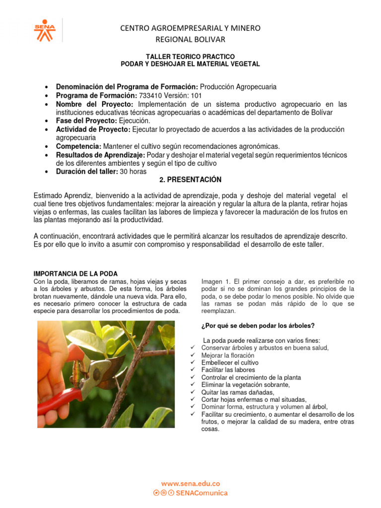 11 - Ra - Podar y Deshojar El Material Vegetal | PDF | Agricultura | Hoja