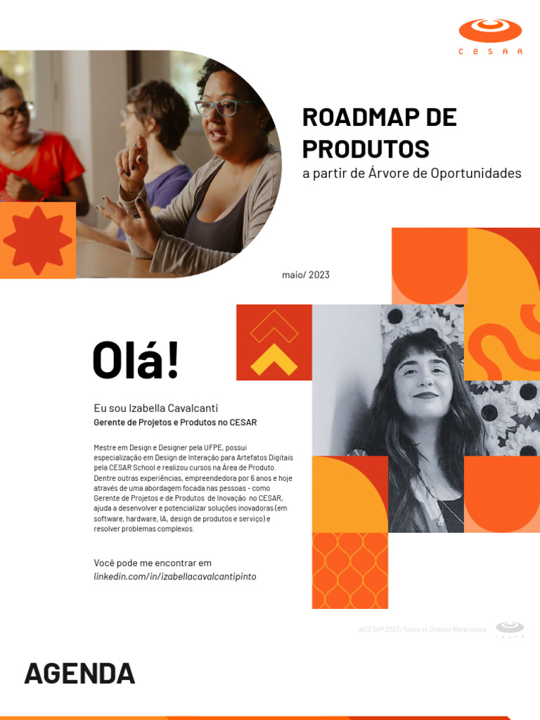 Roadmap de Produto A Partir de Arvore de Oportunidades | PDF | Empresa Startup | Microempresas e ...
