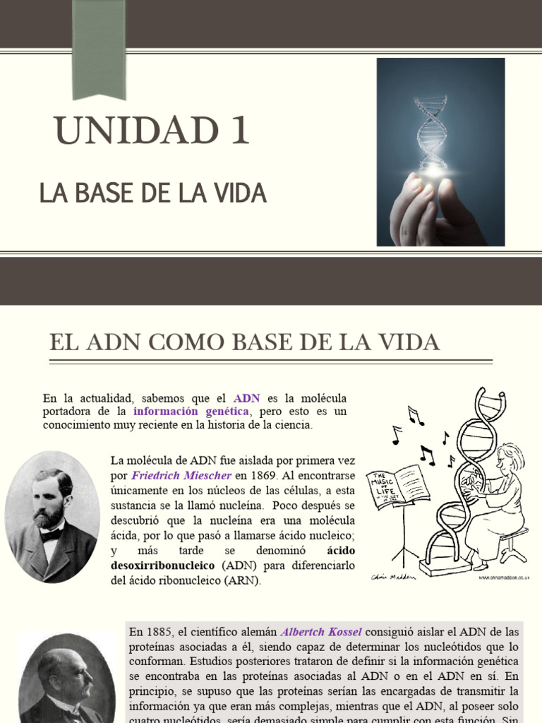 El ADN Como Base de La Vida | PDF | Adn | La transcriptasa inversa