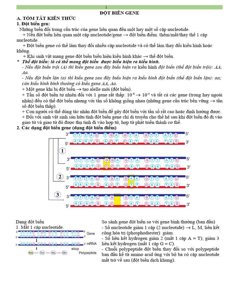 2018 - - - ĐỘT BIẾN GENE | PDF