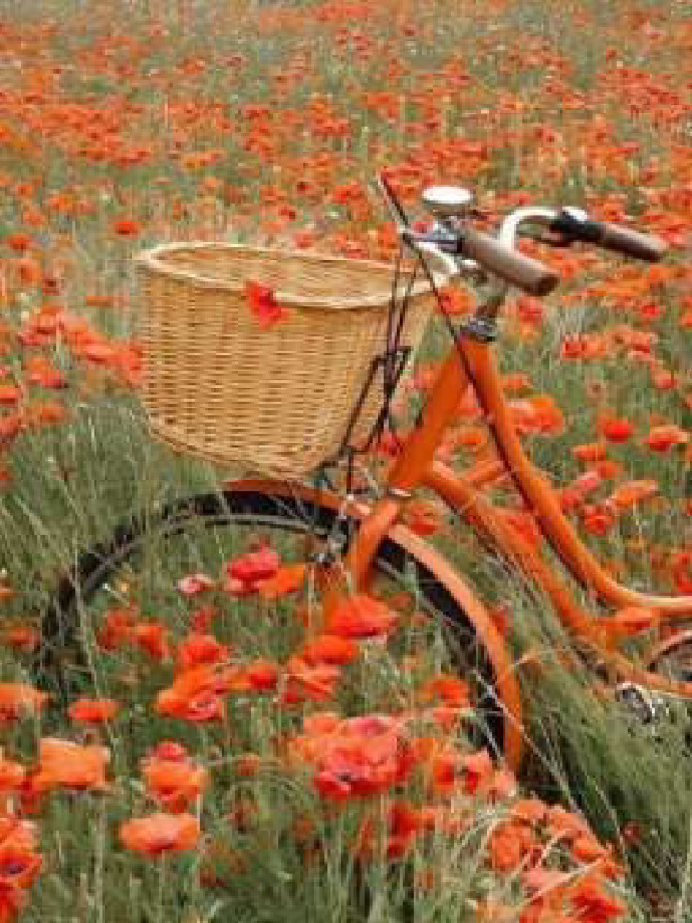 ရစ်ပတ်နှောင်တွယ် by WPFO 1 1 | PDF