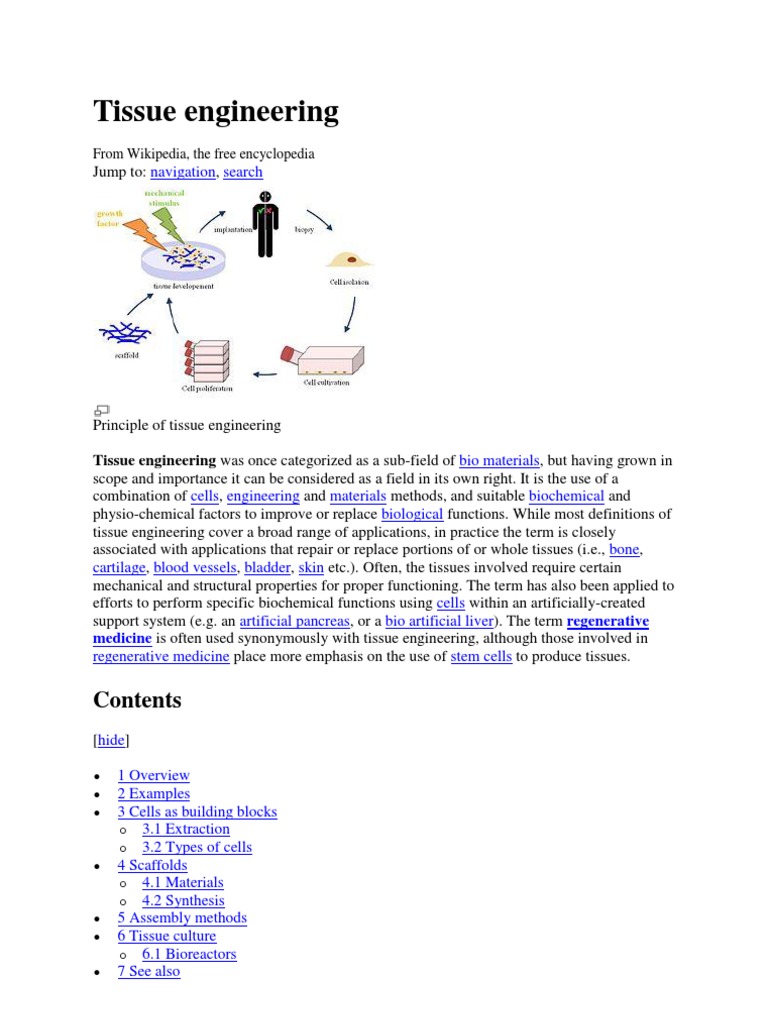 Tissue Engineering | PDF | Tissue Engineering | Biology
