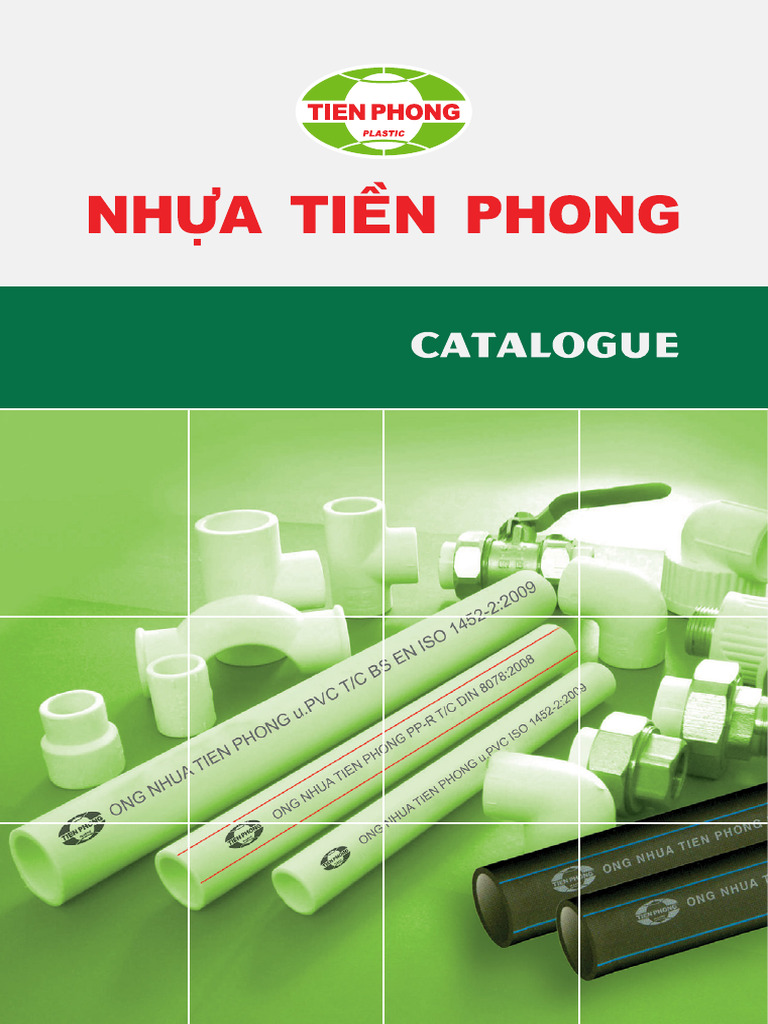 Ong Tien Phong | PDF