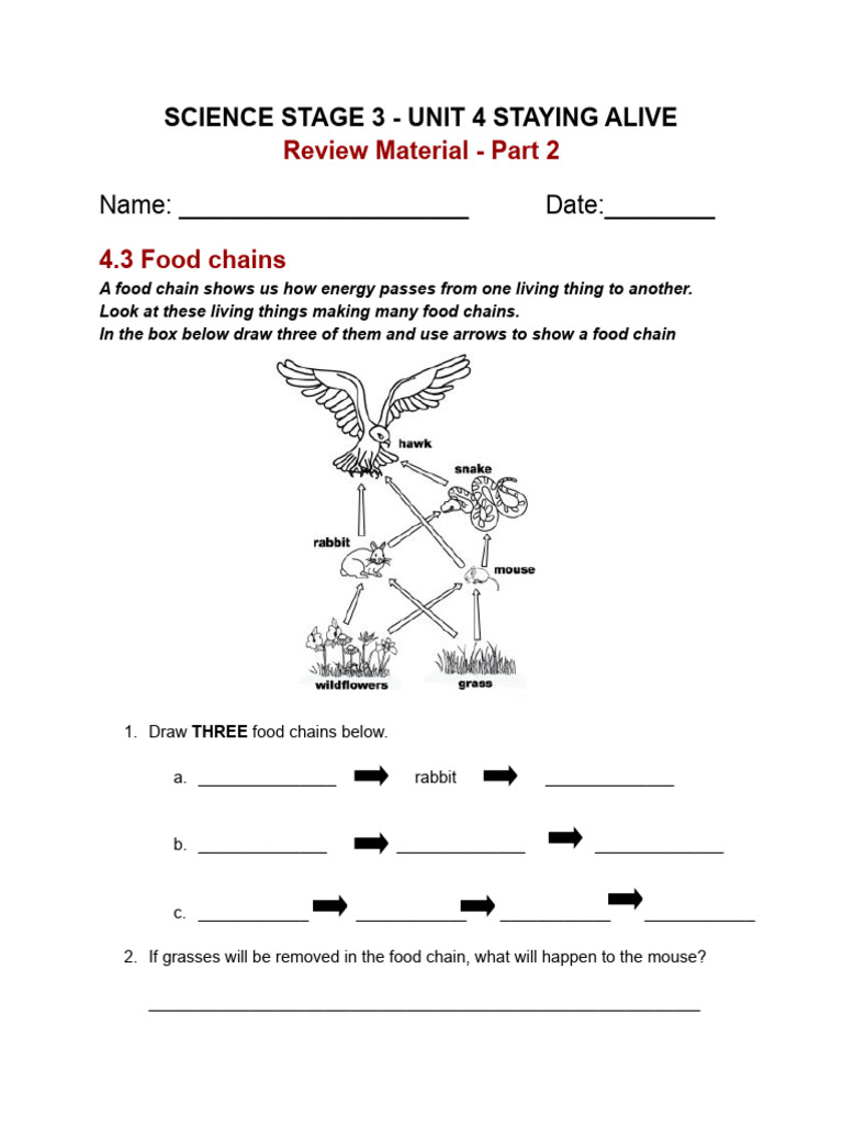 G2 - S3 - Science U4 Review Material Part 2 2022 2023 1 | PDF | Foreign ...