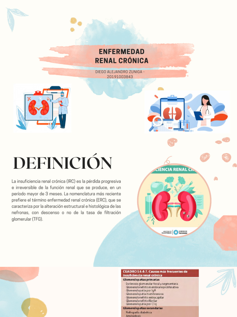 Enfermedad Renal Cronica | PDF | Enfermedad renal crónica | Riñón
