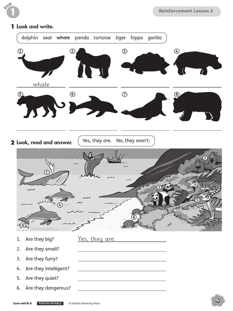 LWU 3 Reinforcement Unit 1 | PDF | Marine Vertebrates | Mammals