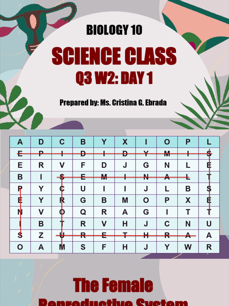 Female Reproductive System | PDF | Reproductive System | Luteinizing Hormone