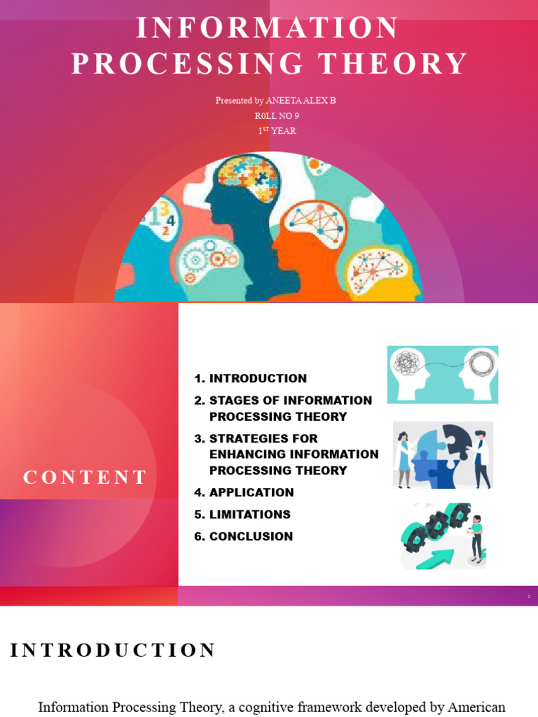 Information Processing Theory | PDF | Memory | Long Term Memory