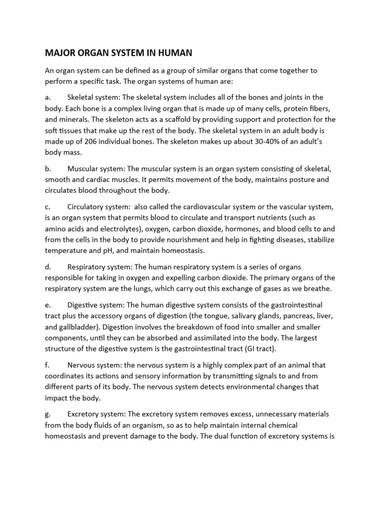 Major Organ System in Human | PDF | Human Body | Human Digestive System