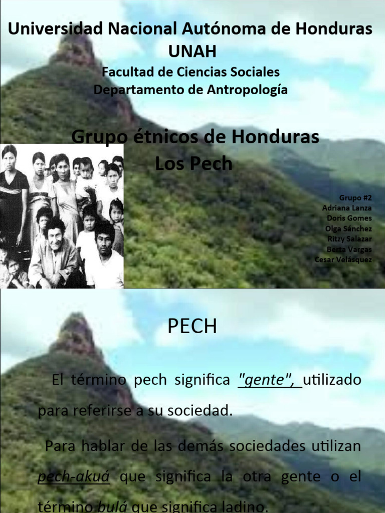 Presentacion Pech 1.1 | PDF