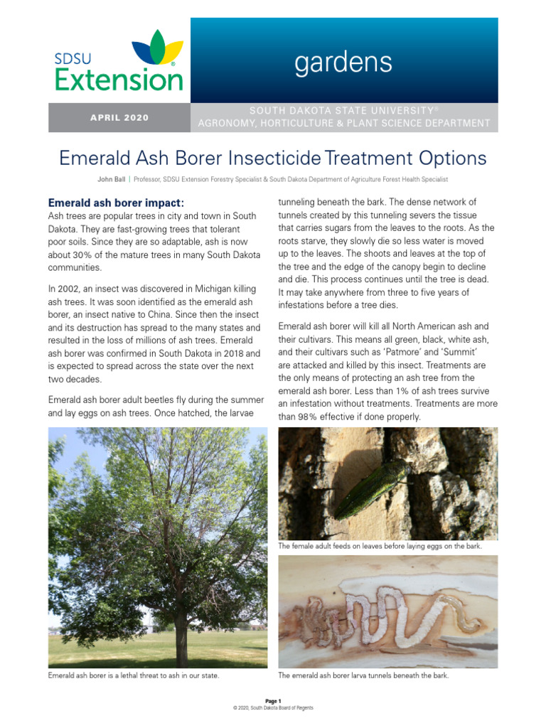 EAB Insecticide Treatment Options | PDF | Insecticide | Trees