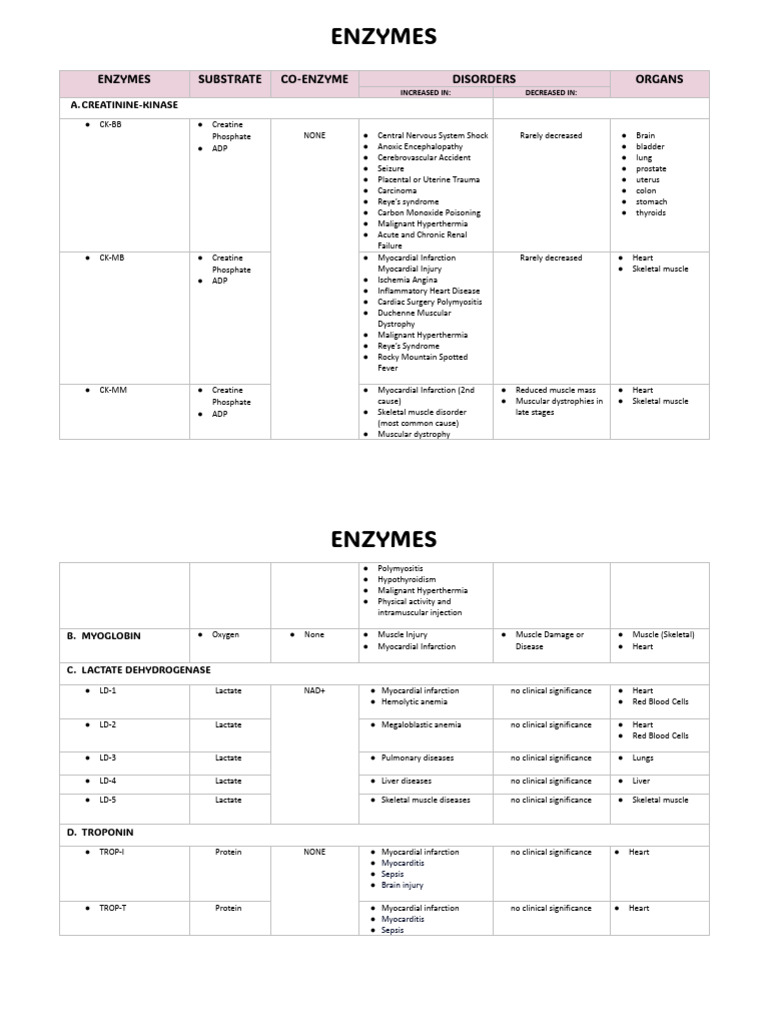 ENZYMES | PDF | Pancreas | Muscle