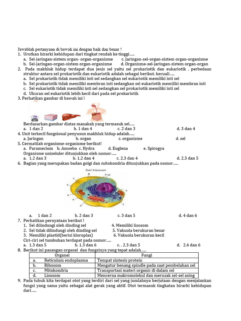 Soal Ipa Kelas VII | PDF