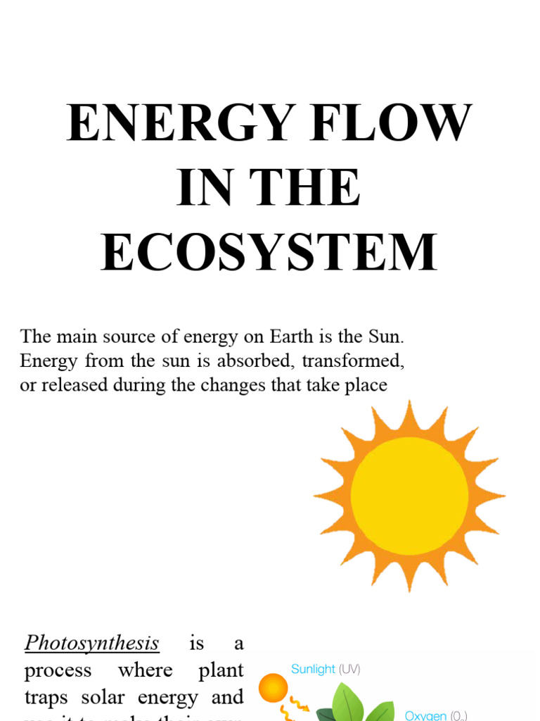 Energy Flow | PDF