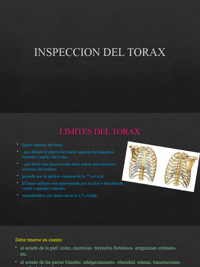 Inspeccion Del Torax | PDF | Tórax | Sistema respiratorio