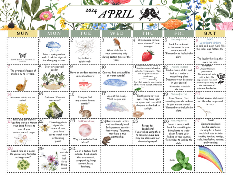 April 2024 Nature Calendar Final | PDF | Basil