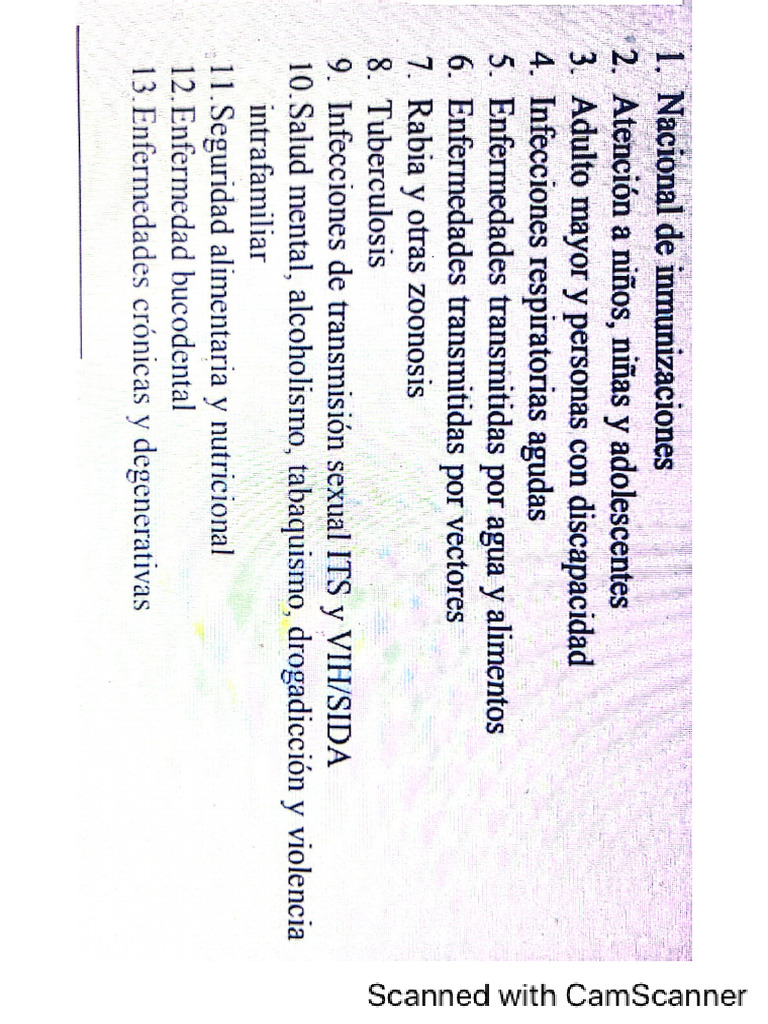 Programas Del MSPAS | PDF