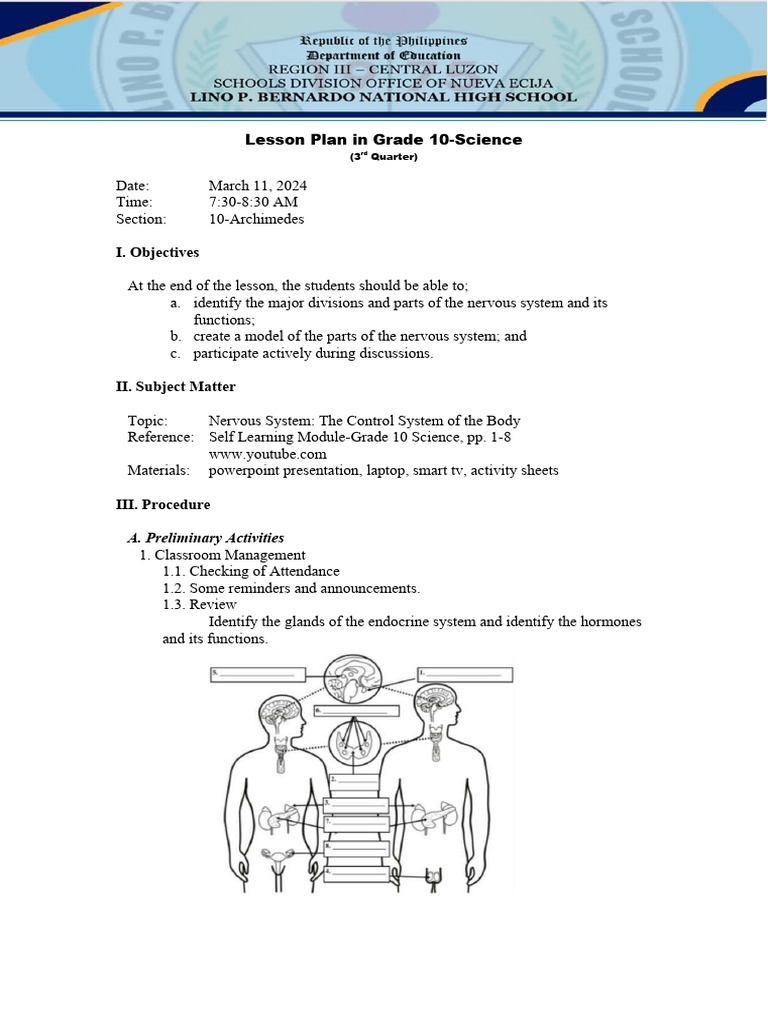 Lesson Plan Cot q3 | PDF | Nervous System | Neuron