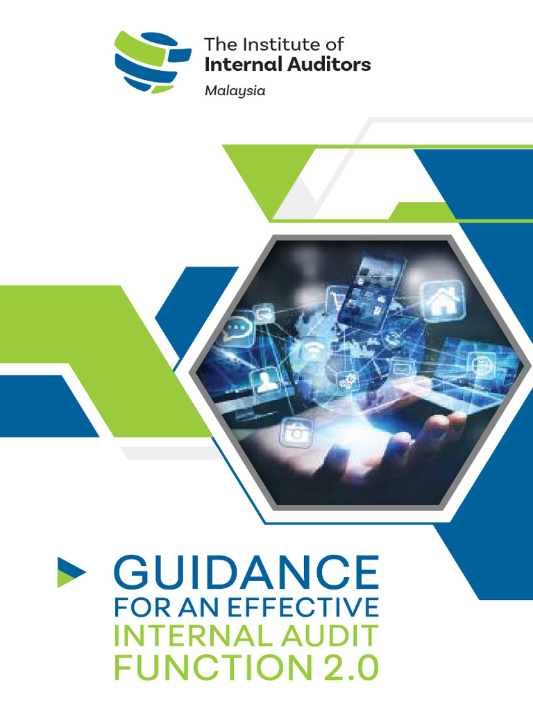 Internal Audit Guidance Note | PDF | Internal Audit | Internal Control