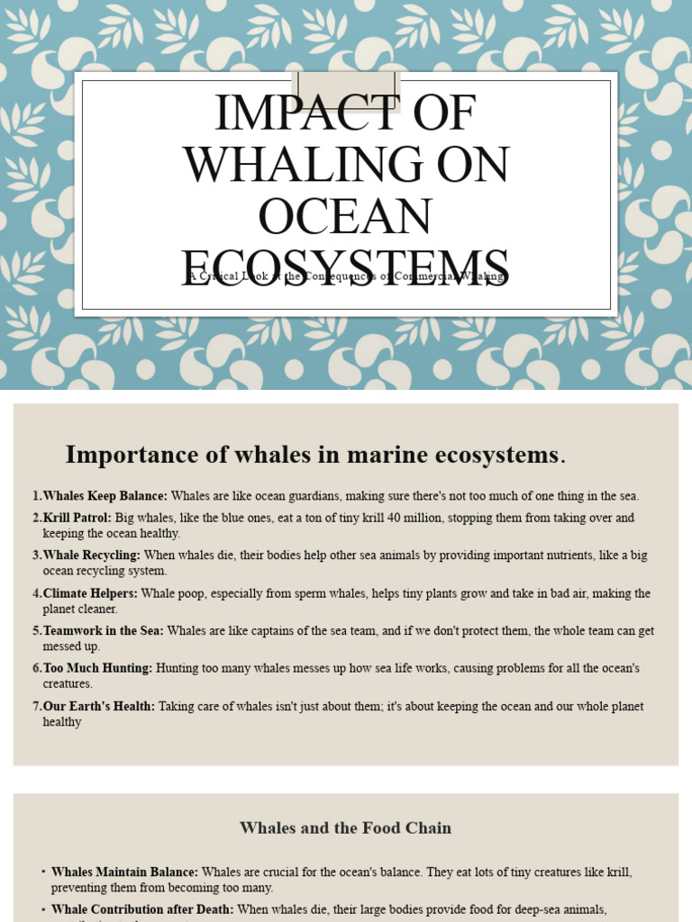 Impact of Whaling On The Ocean Ecosystems | PDF | Whales | Phytoplankton