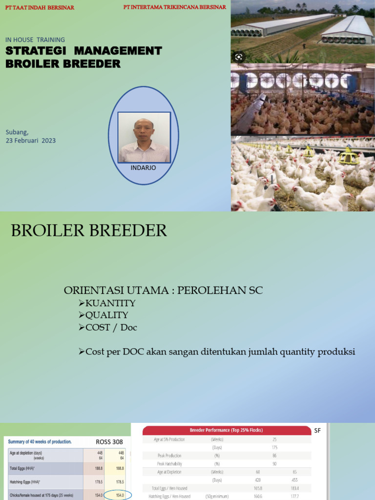 Broiler Breeder Management Guide | PDF