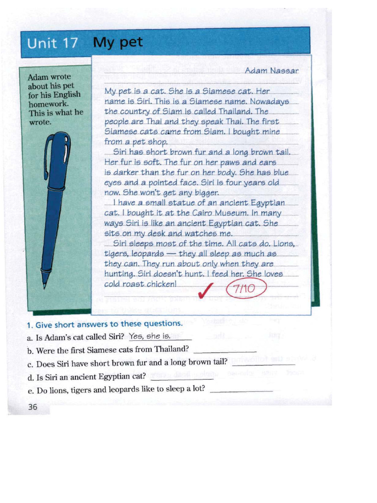 Let 39 S Read and Write in English 1 | PDF