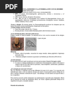 Ácaros del polvo: Dermatophagoides y Euroglyphus | PDF | Alergia