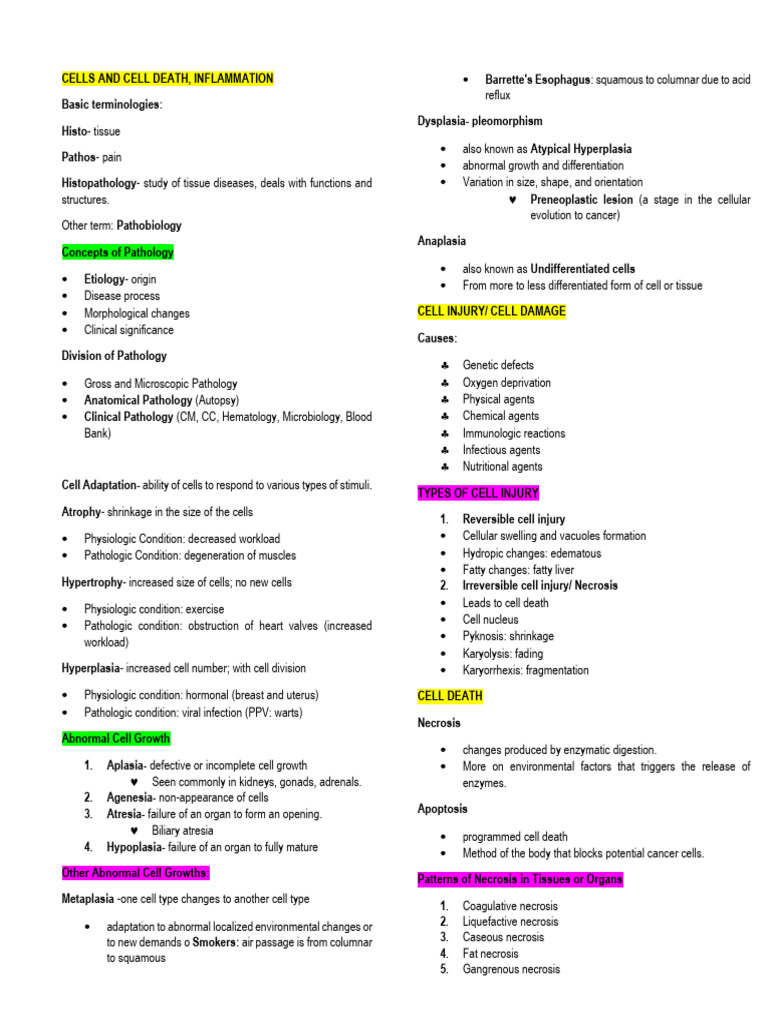 Cell Death, Inflammation, and Pathology | PDF | Necrosis | Inflammation