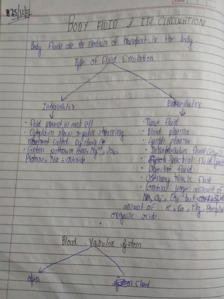 Body Fluids and Circulation Notes | PDF | Art | Science & Mathematics