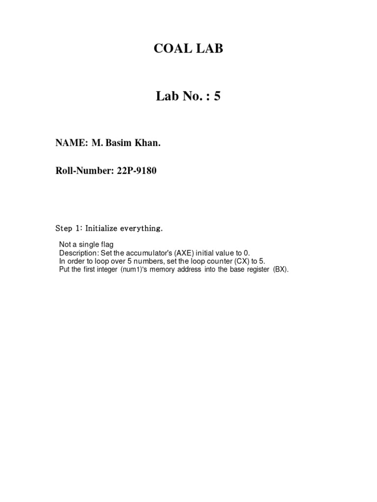 COAL Sp24 Lab05 p229180 | PDF