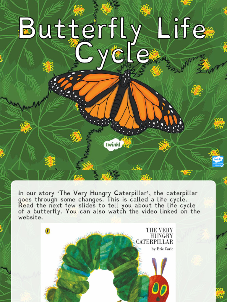 Life Cycle of A Butterfly | PDF