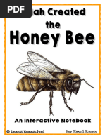 Beekeeping Training Manual | PDF | Honey Bee | Beehive
