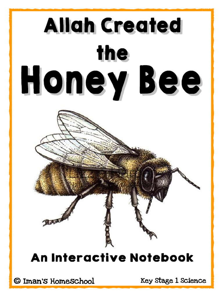 Honey Bee INB | PDF | Bees | Honey Bee