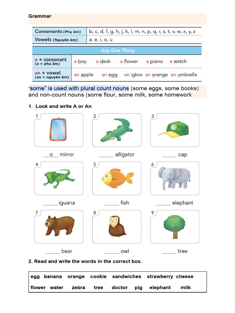 Grammar A - An | PDF