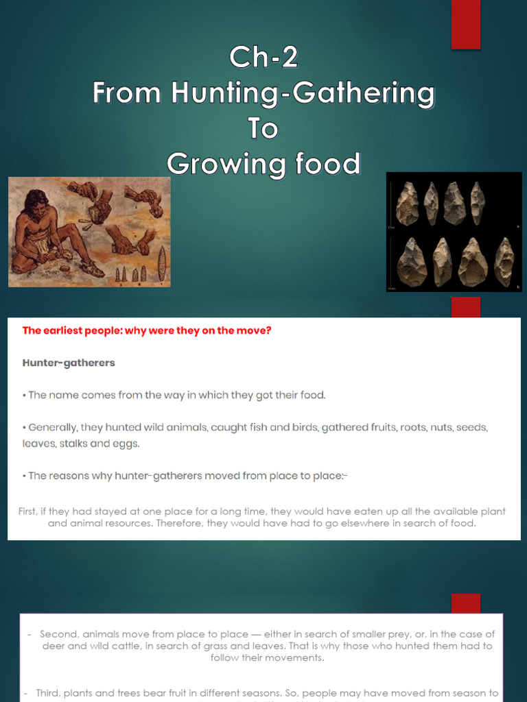From Hunting Gathering To Growing Food | PDF | Hunter Gatherer | Hunting