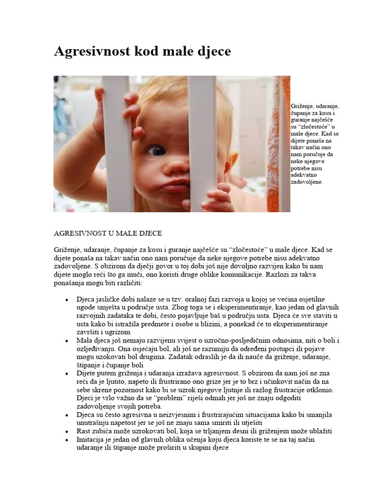 Agresivnost Kod Male Djece | PDF