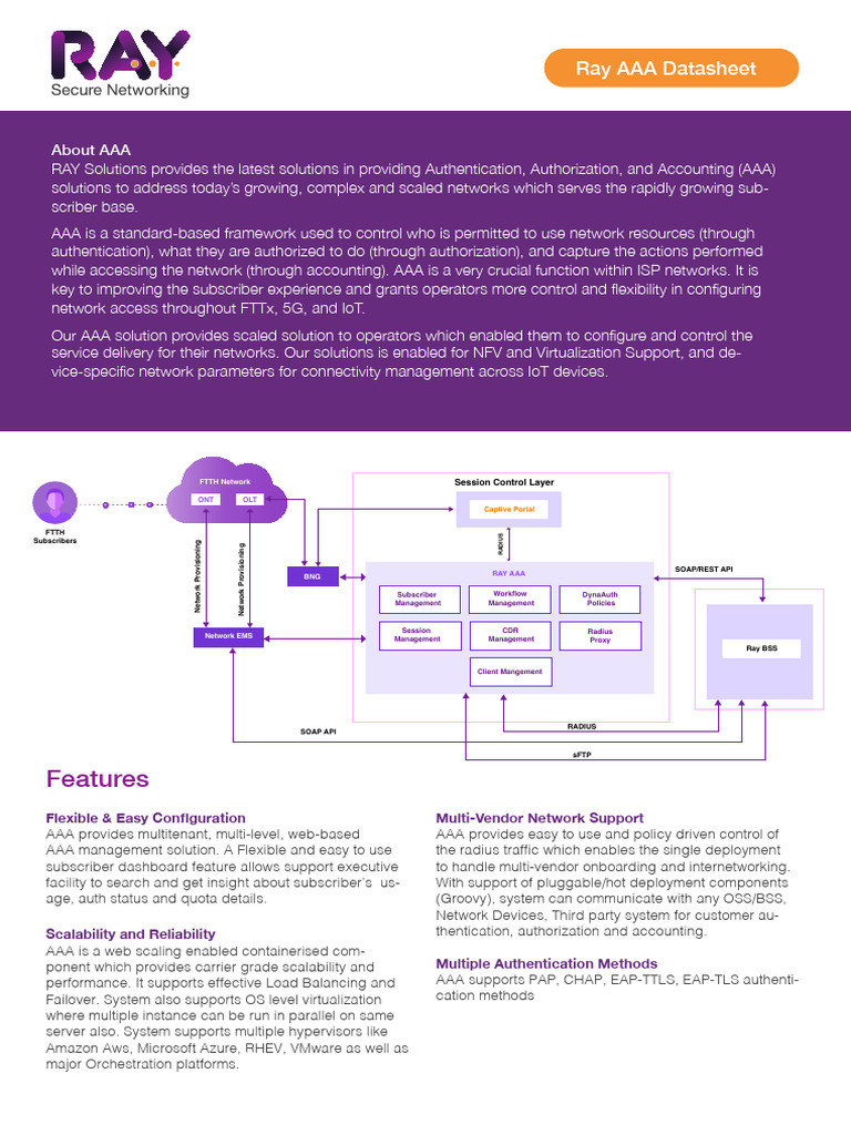Ray AAA Datasheet | PDF | Computer Network | Ip Address