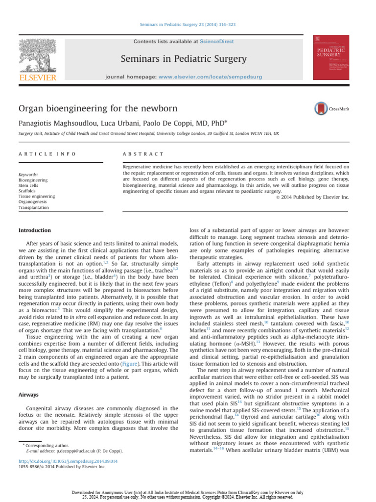 Organ Bioengineering For The Newborn | PDF | Tissue Engineering | Kidney