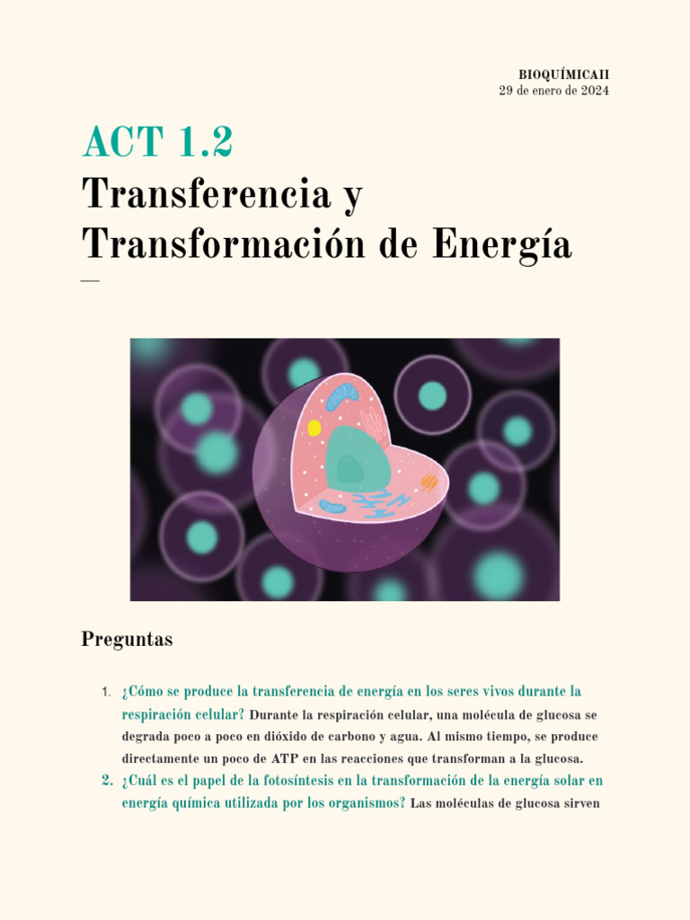 Transferencia y Transformación de Energía | PDF | Respiración celular | Metabolismo